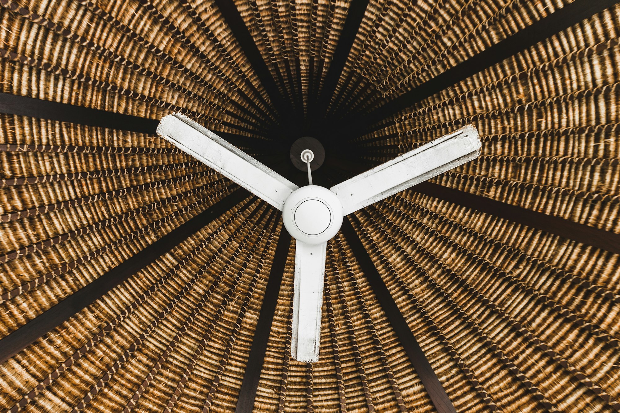 Professional Ceiling Fan Installation in North Vancouver